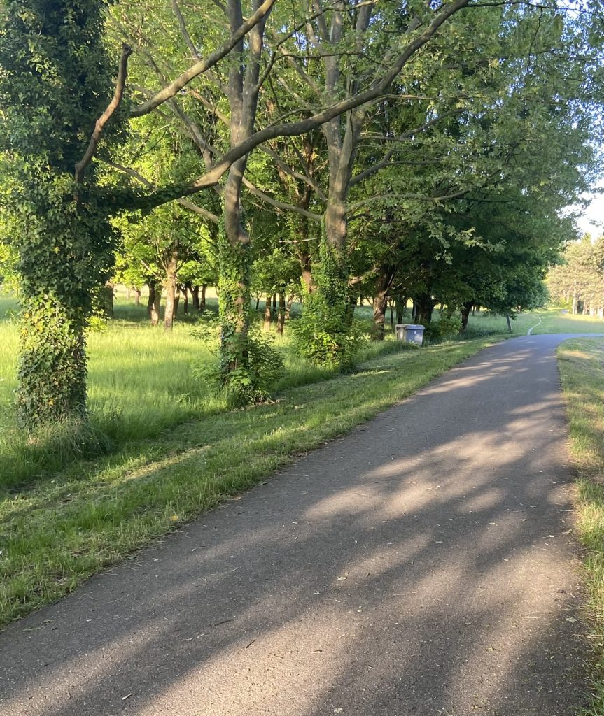 Parcours Chassieu vers Parc de Miribel à l'est de Lyon | CM Maps Routes ...
